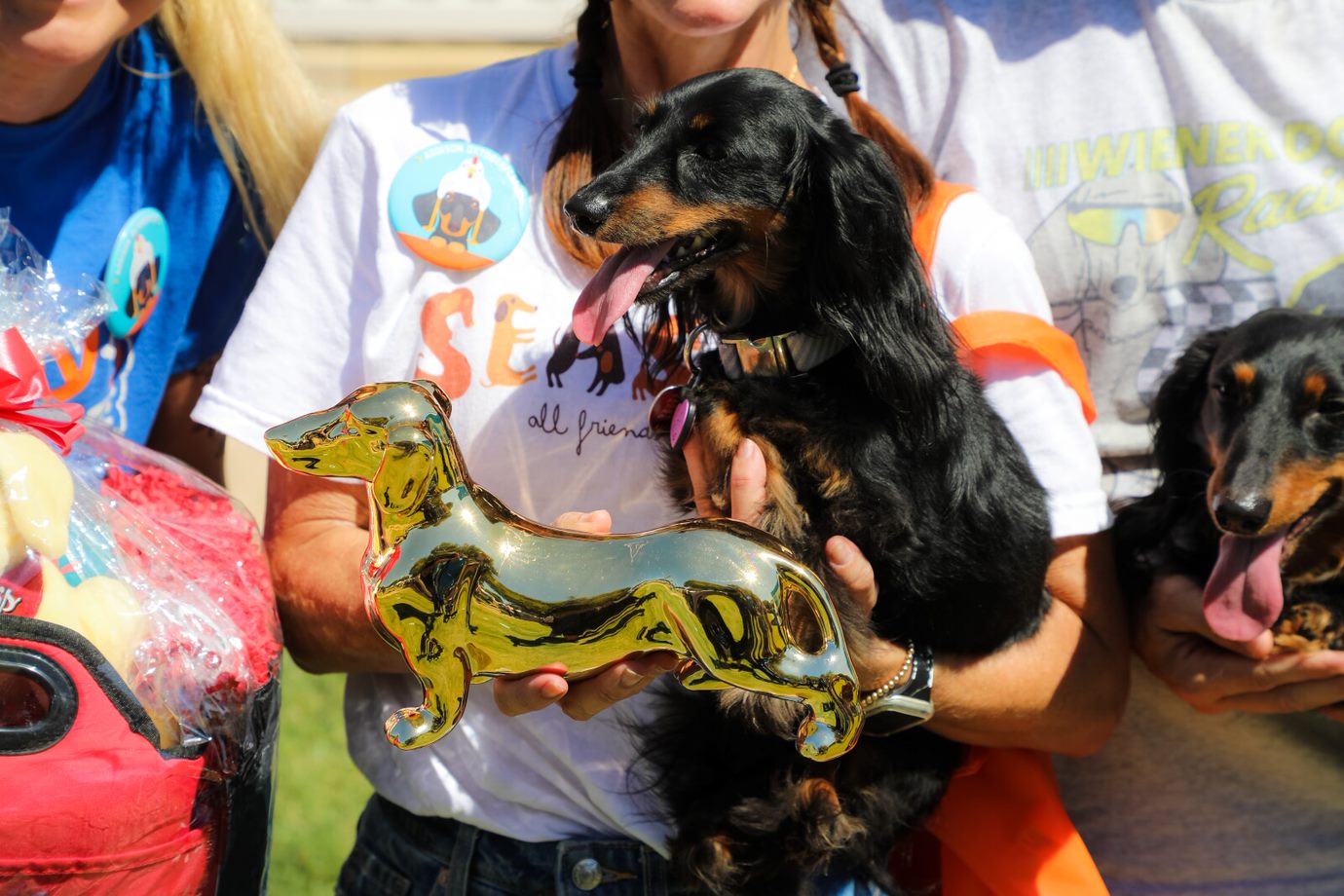 Addison Oktoberfest returns for its 36th year with “Sunday Hund-Day ...