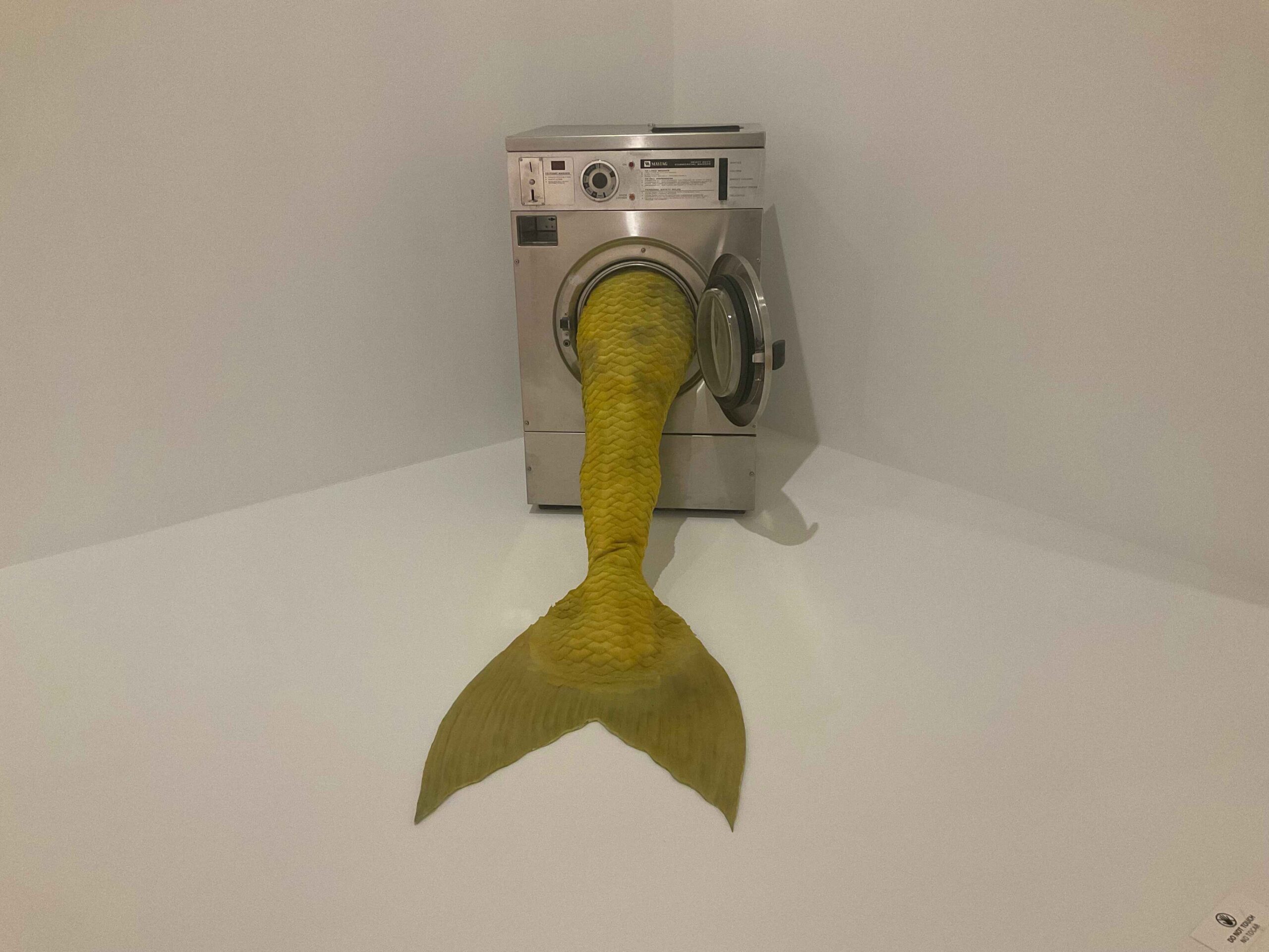 Inside Dallas Museum of Arts’ “He Said/She Said: Contemporary Women ...